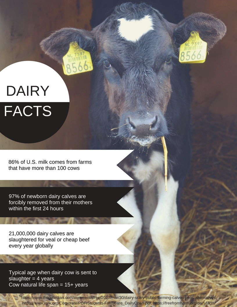 National Geographic Finds a Cash Cow in the Dairy Industry | Kristen ...